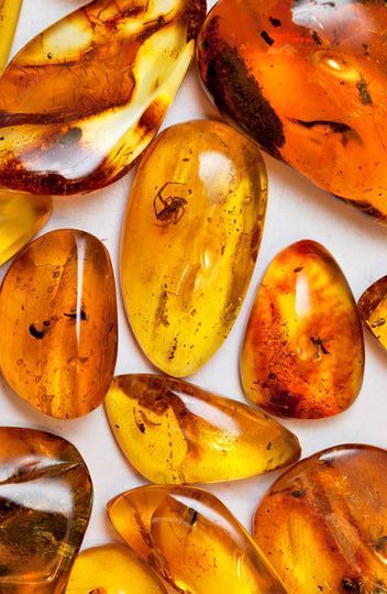 La antigua Ruta del Ámbar del Báltico – Blog Cátedra de Historia y ...