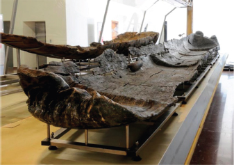 Celia Chaín-Navarro – Blog Cátedra de Historia y Patrimonio Naval